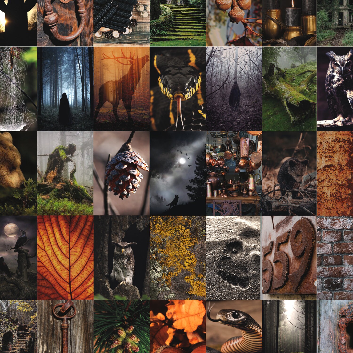 Goblincore Wall Collage Kit Digital Prints - Etsy