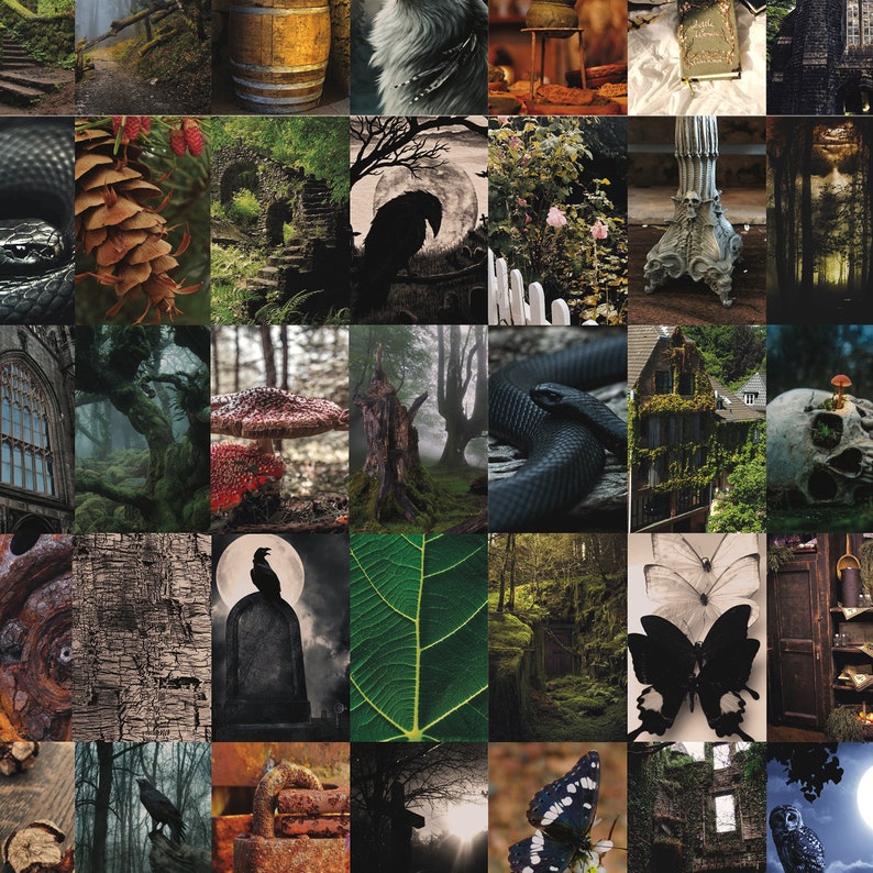 Goblincore Wall Collage Kit Digital Prints Etsy