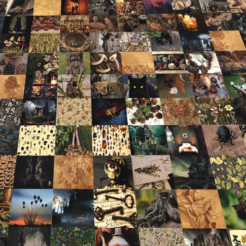 Dark cottagecore 100pics Aethtetic wall collage kit 4x | Etsy