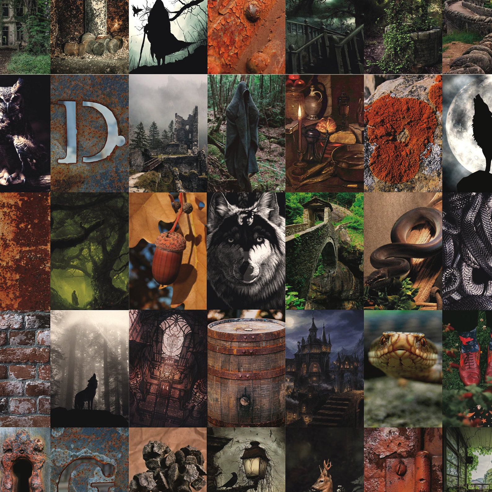 Goblincore Wall Collage Kit Digital Prints - Etsy