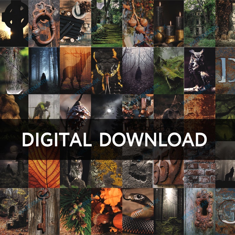 Goblincore Wall Collage Kit Digital Prints - Etsy