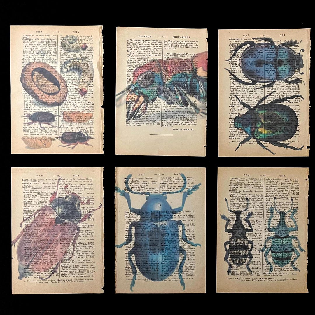 Upcycled Art Bug/insect Dictionary Print Vintage Book Page Collage - Etsy
