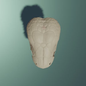 Ball Python V2 Mask .STL Files for 3D Printing - Etsy