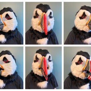 Realistic Atlantic Puffin Fursuit Head - Etsy
