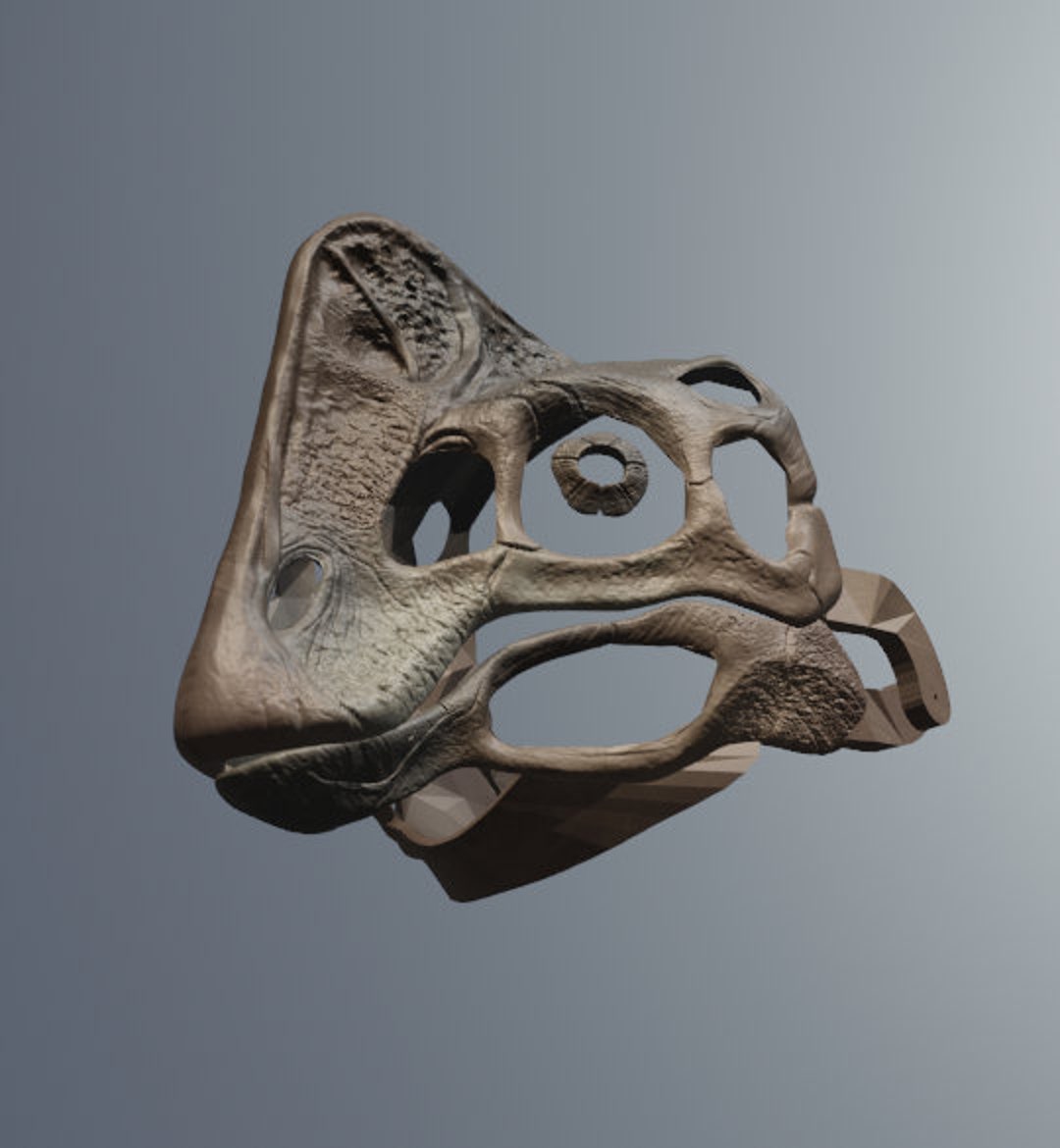 Anzu Skull Mask .STL Files for 3D Printing - Etsy