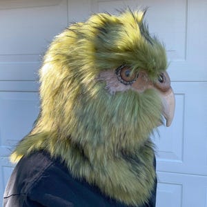 Realistic Night Parrot Fursuit Head - Etsy