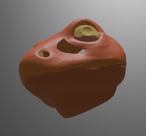 Newt Mask .STL Files for 3D Printing - Etsy