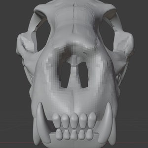 Jackal Skull 3D Model Files - Etsy