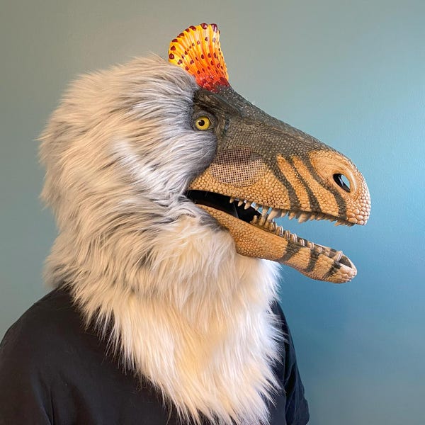 Dinosaur Fursuit - Etsy