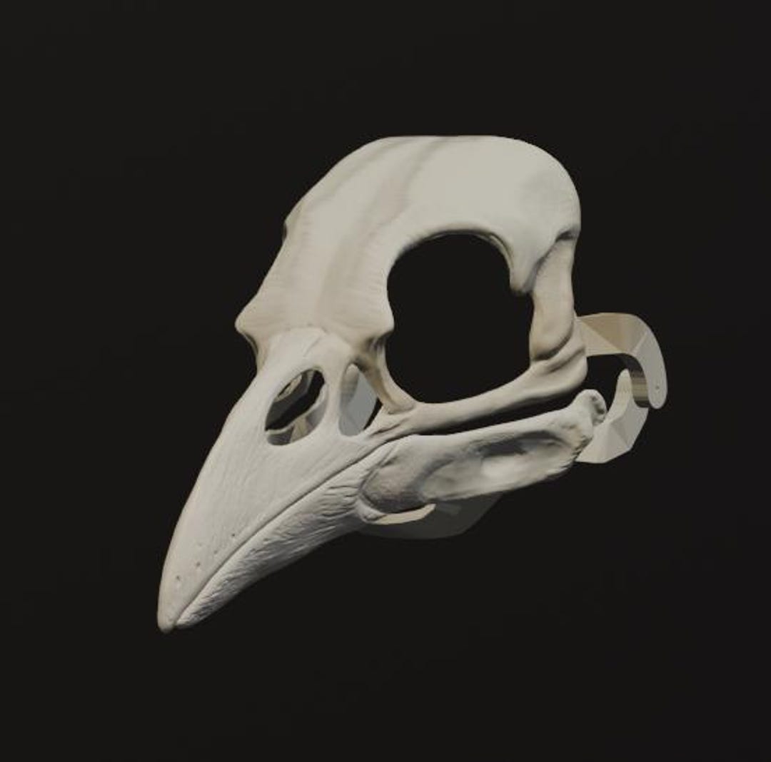 Magpie Skull Mask .STL Files for 3D Printing - Etsy