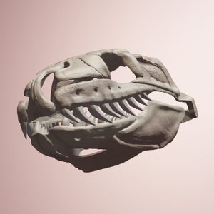 Burmese Python Skull Mask .STL Files for 3D Printing - Etsy