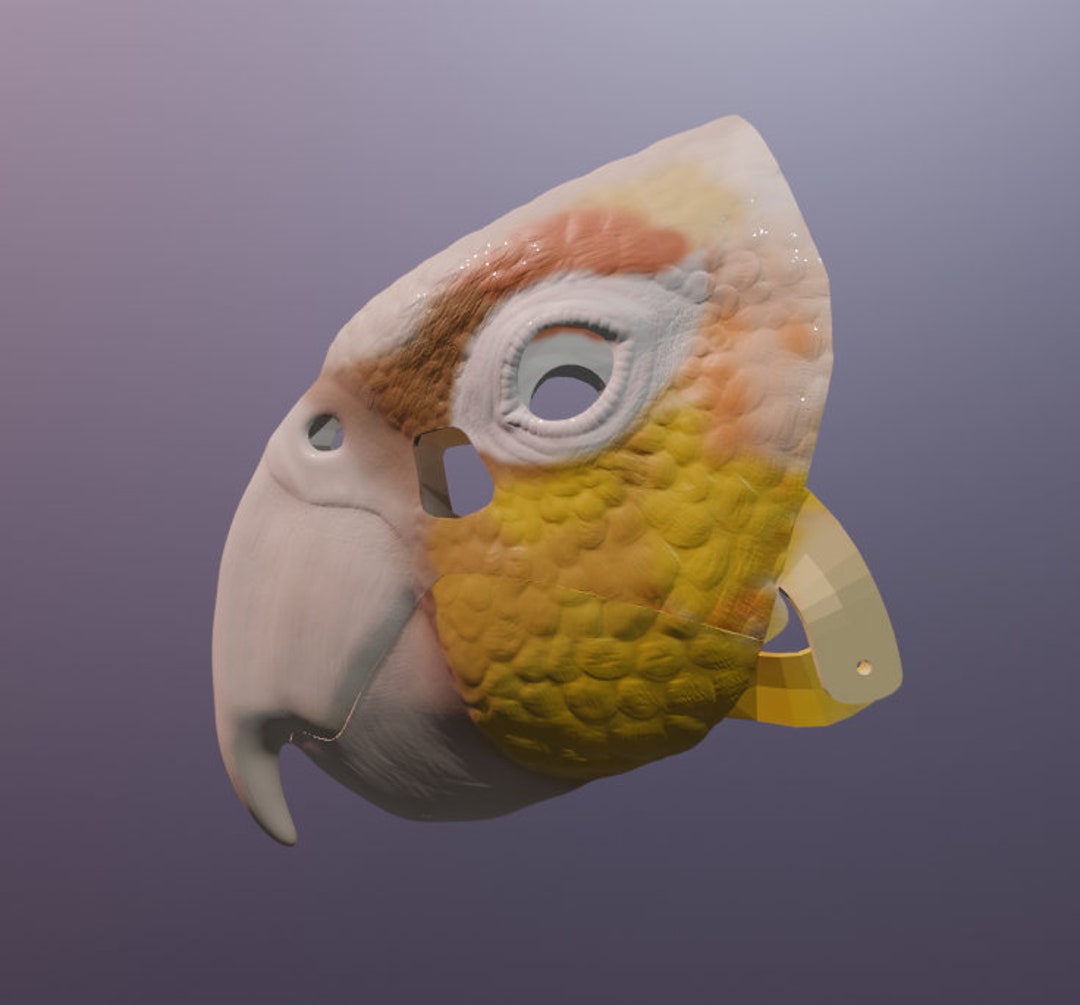 Conure Mask V2 .STL Files for 3D Printing - Etsy