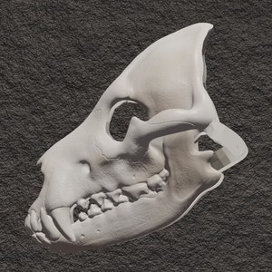 Arctic Wolf Skull Mask .STL Files for 3D Printing - Etsy