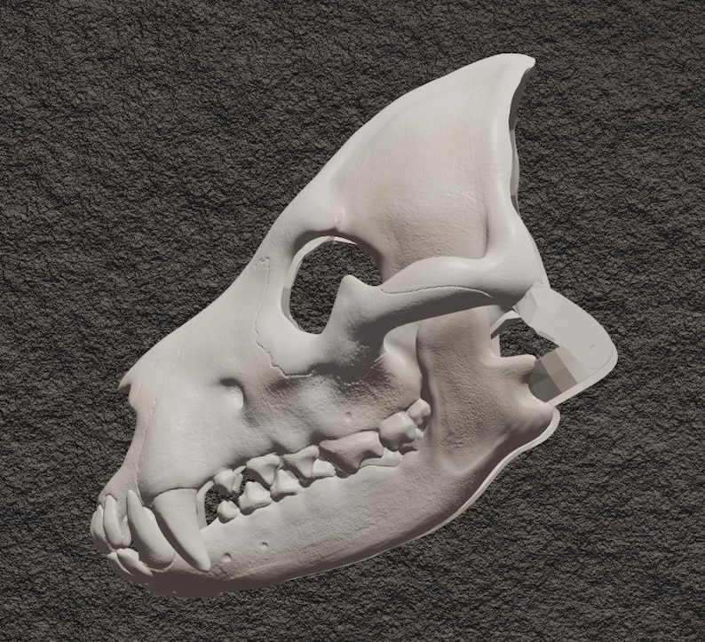 Arctic Wolf Skull Mask .STL Files for 3D Printing - Etsy