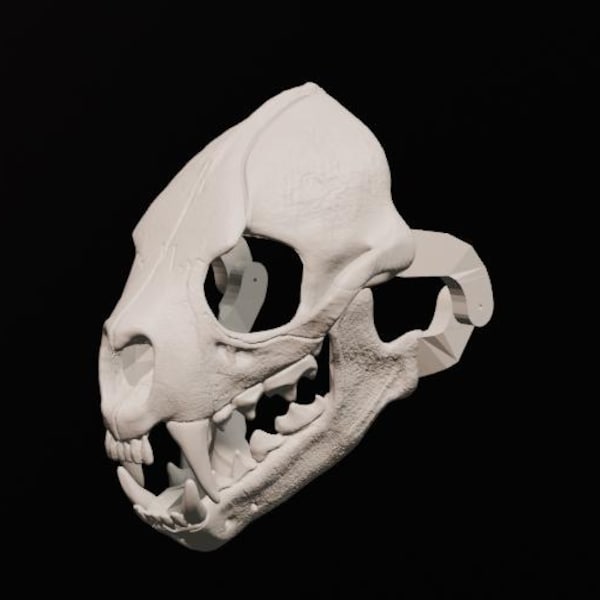 Skunk Skull - Etsy
