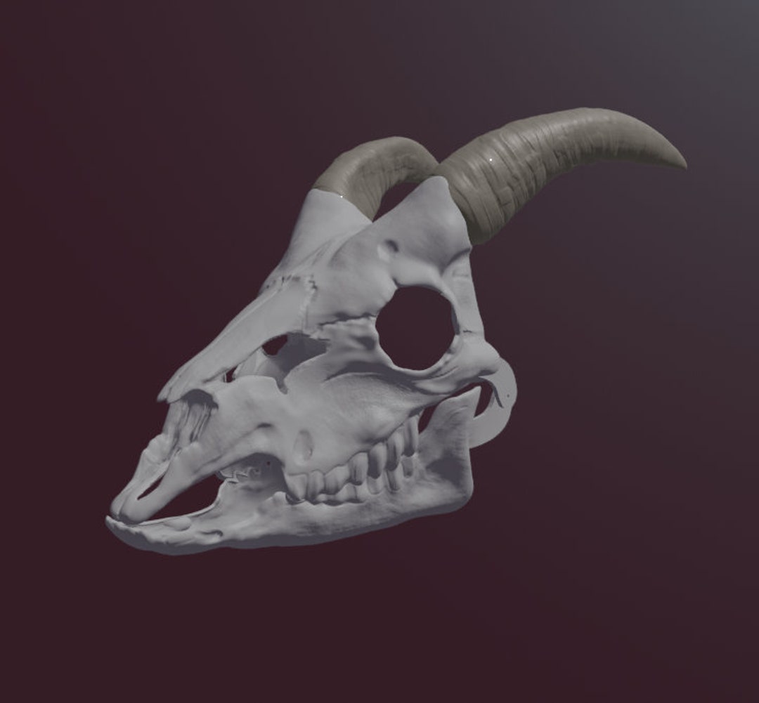 Goat Skull Mask .stl Files for 3D Printing - Etsy