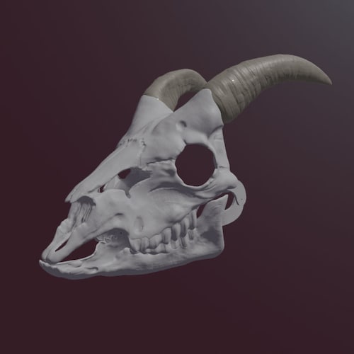 Boar Skull Mask .stl Files for 3D Printing - Etsy