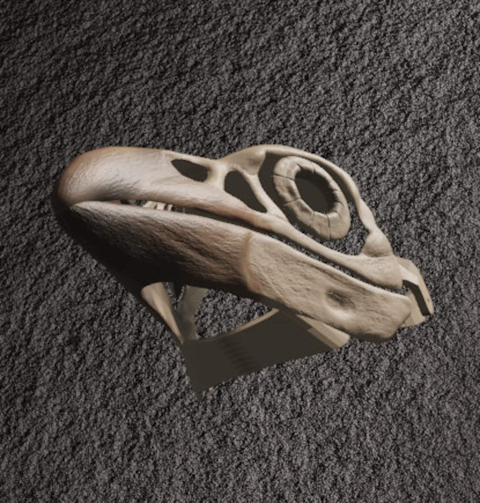 Crow Skull Mask .STL Files for 3D Printing - Etsy
