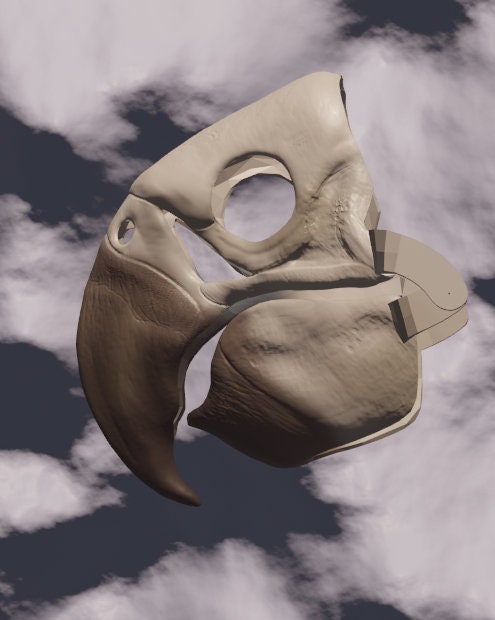 Hyacinth Macaw Skull Mask .STL Files for 3D Printing - Etsy