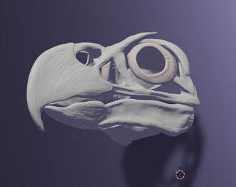 Falcon Skull Mask .STL files for 3D printing | Etsy