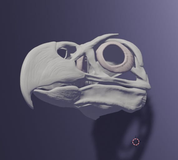 Eagle Skull Mask V2 .STL Files for 3D Printing | Etsy
