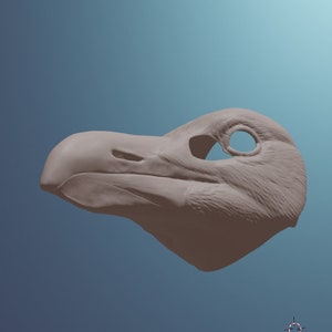 Seagull Mask .stl Files for 3D Printing - Etsy