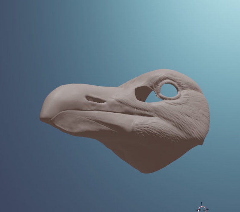 Seagull Mask .stl Files for 3D Printing - Etsy