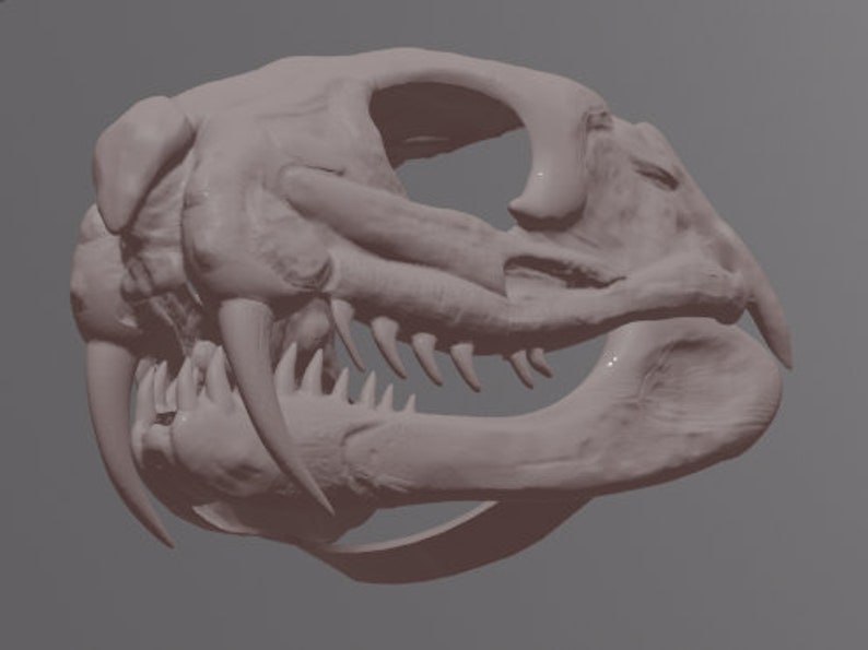 Venomous Snake Skull Mask .STL Files for 3D Printing - Etsy