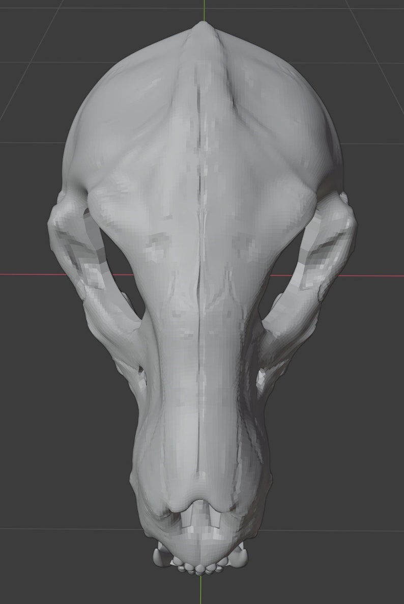 Jackal Skull 3D Model Files - Etsy