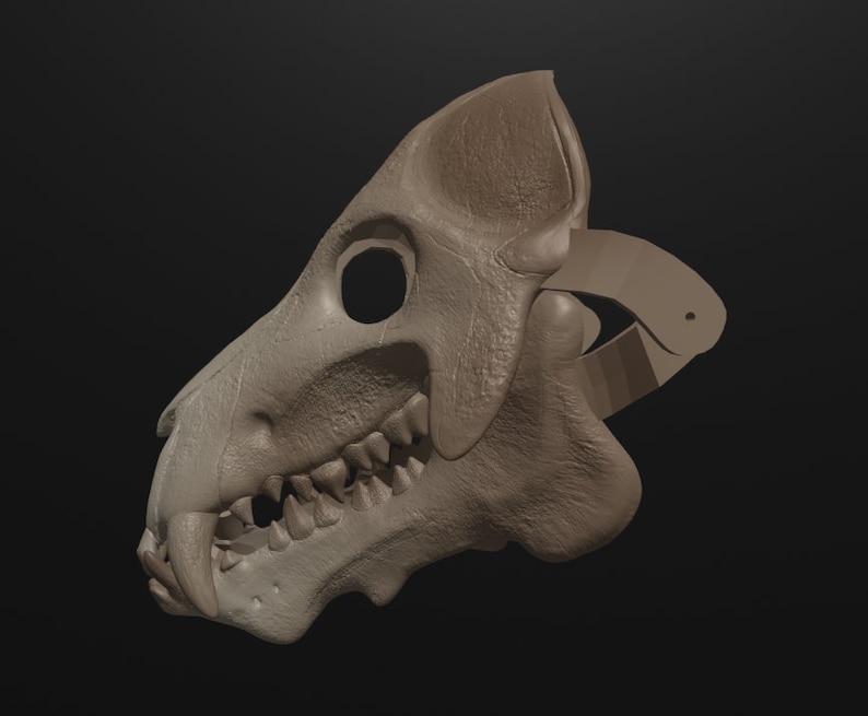 Entelodont Skull Mask .STL Files for 3D Printing - Etsy