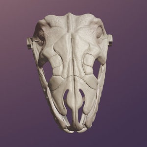 Burmese Python Skull Mask .STL files for 3D printing - Etsy México