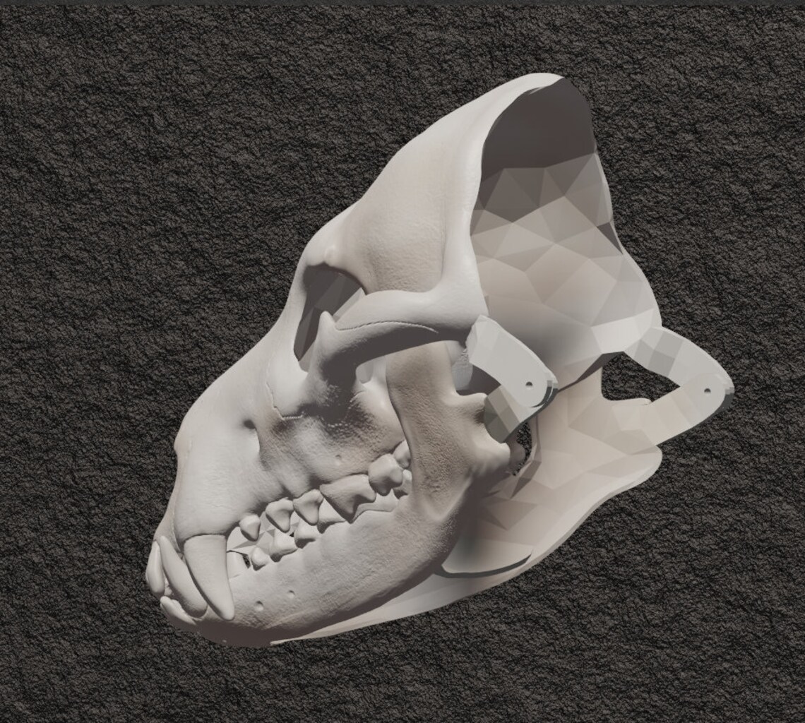 Arctic Wolf Skull Mask .STL Files for 3D Printing - Etsy Canada
