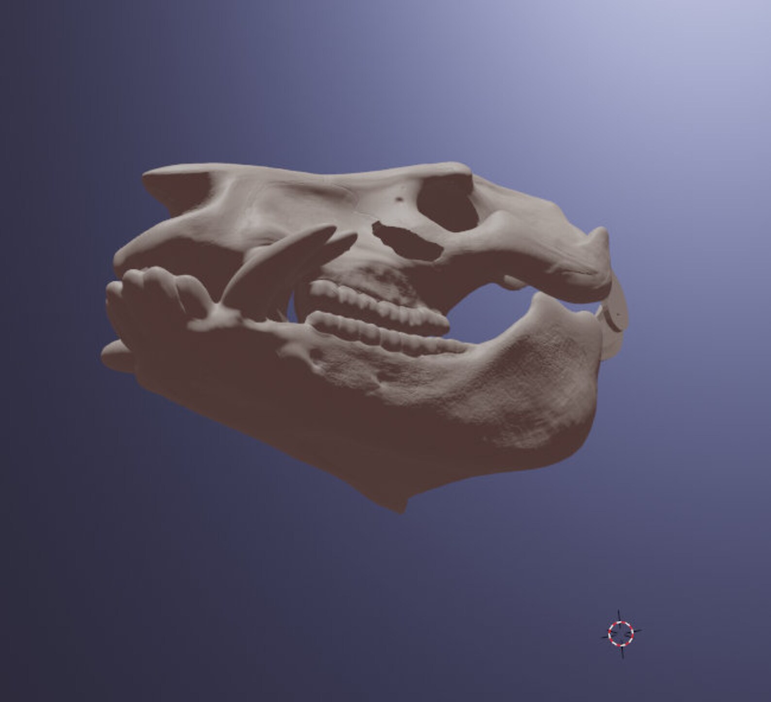Boar Skull Mask .stl Files for 3D Printing - Etsy