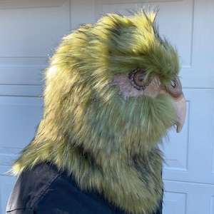 Realistic Night Parrot Fursuit Head - Etsy
