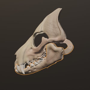 Fox Skull Mask .STL Files for 3D Printing - Etsy Australia