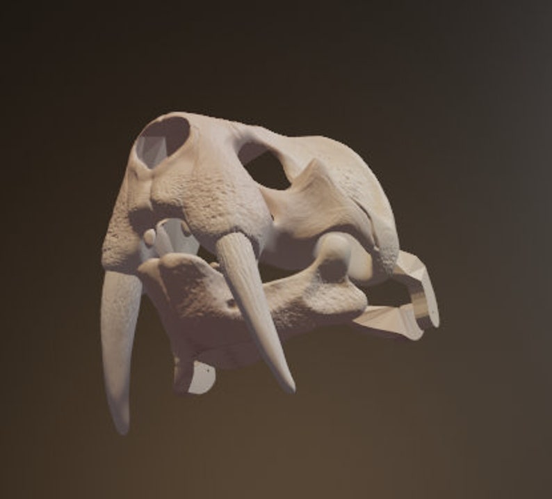 Walrus Skull Mask .STL Files for 3D Printing - Etsy
