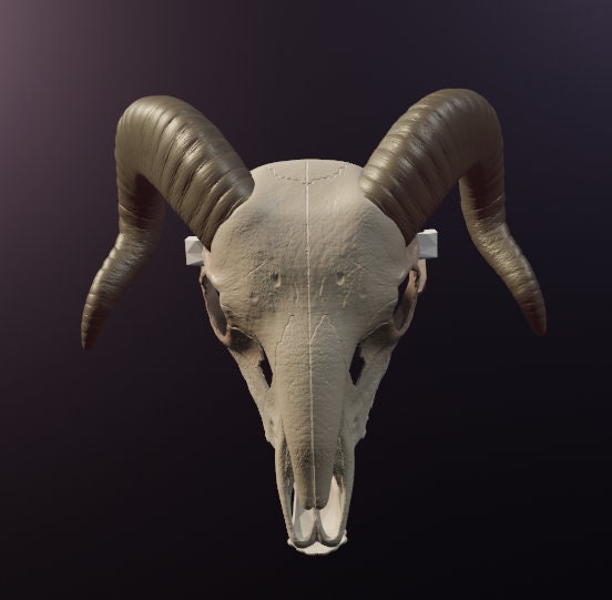 Ram Skull Mask .STL Files for 3D Printing - Etsy Australia