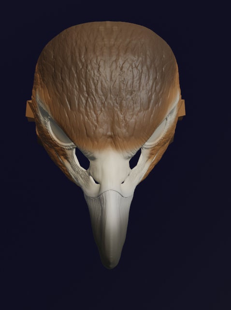 Golden Eagle Mask .STL Files for 3D Printing - Etsy