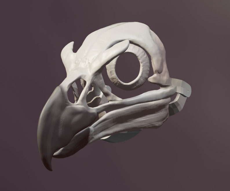 Eagle Skull Mask V3 .STL Files for 3D Printing - Etsy