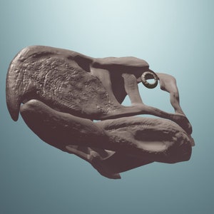 Terror Bird Skull Mask .stl Files for 3D Printing - Etsy Australia