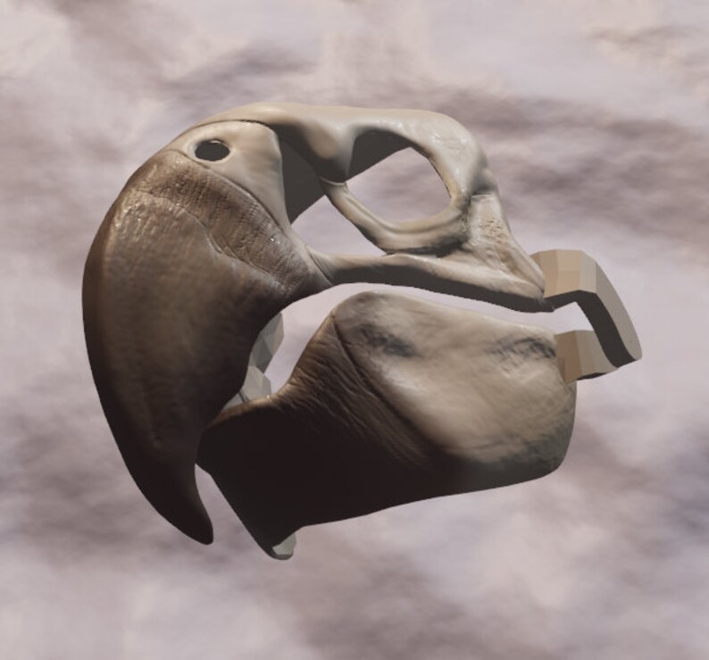 Hyacinth Macaw Skull Mask .STL Files for 3D Printing - Etsy