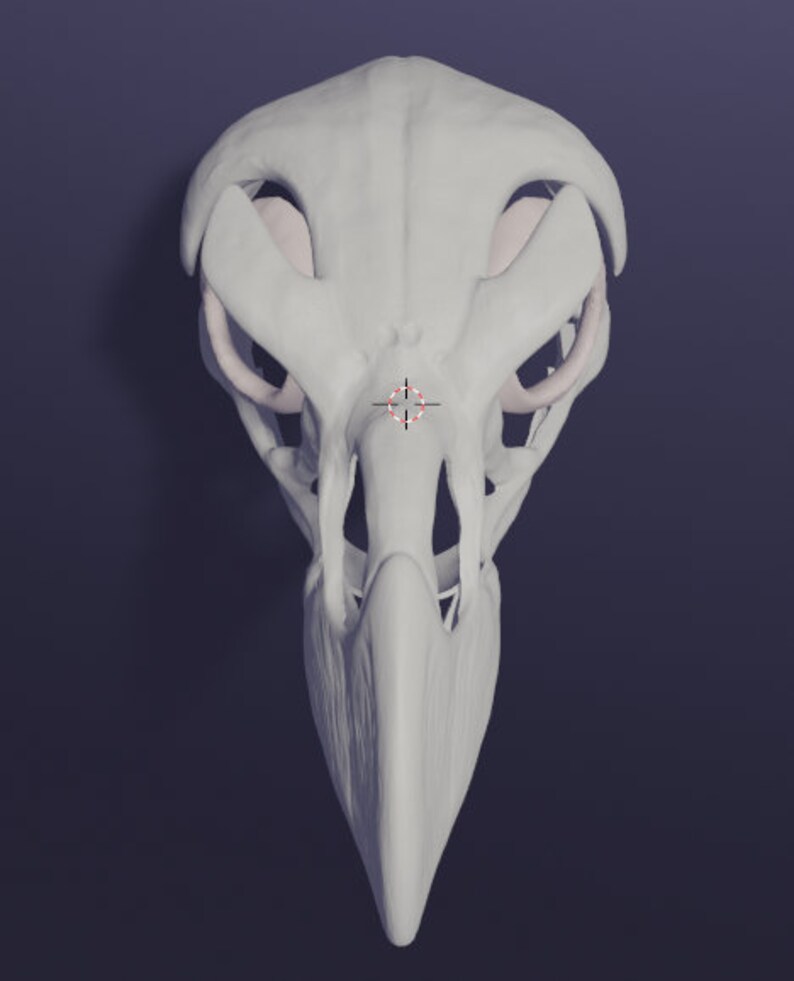 Eagle Skull Mask V2 .STL Files for 3D Printing | Etsy
