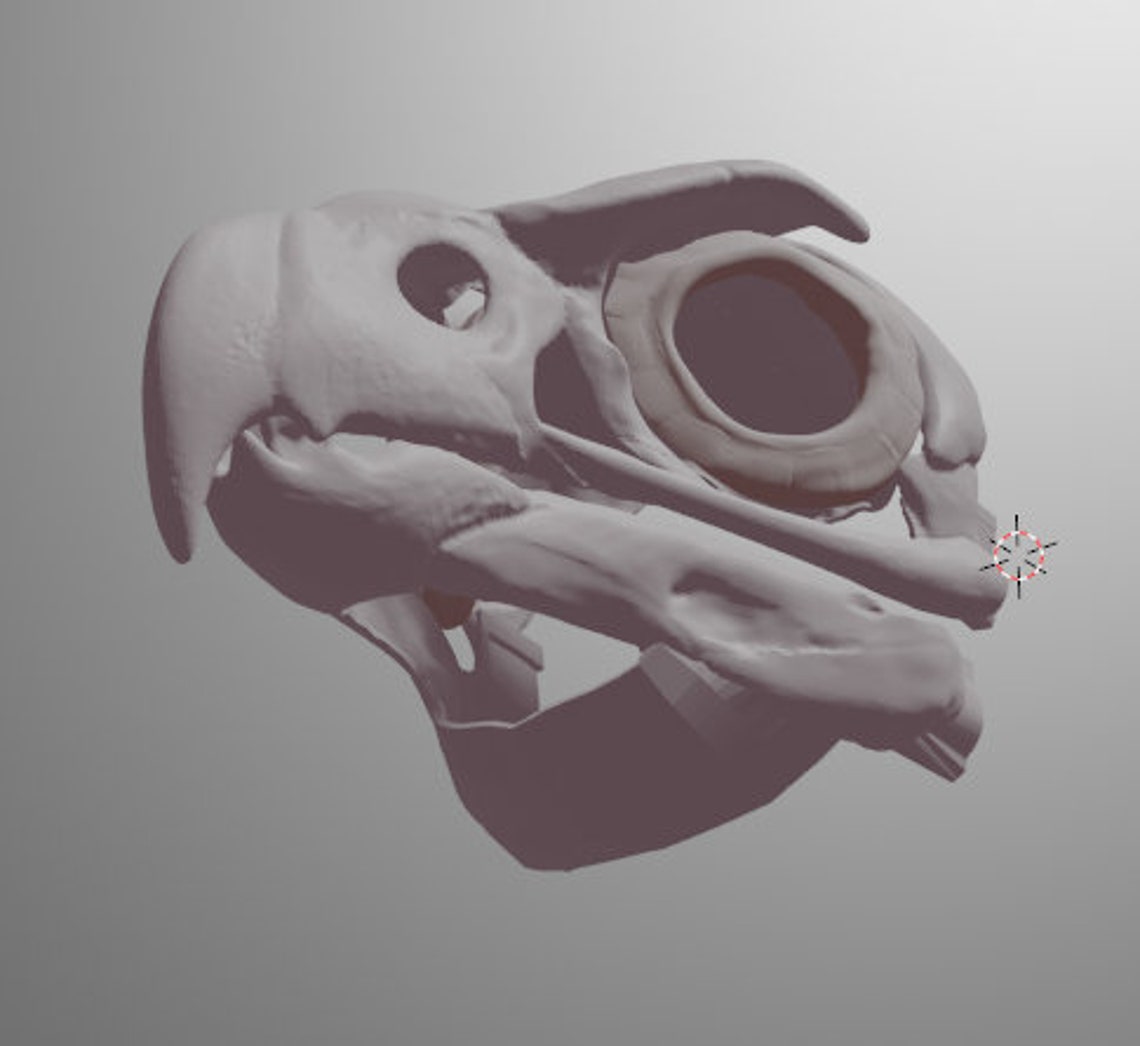 Falcon Skull Mask .STL Files for 3D Printing - Etsy Hong Kong