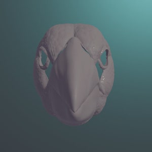 Ground Finch Mask .STL Files for 3D Printing - Etsy