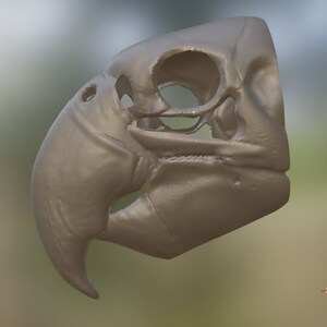 Macaw Skull Mask .STL Files for 3D Printing. - Etsy