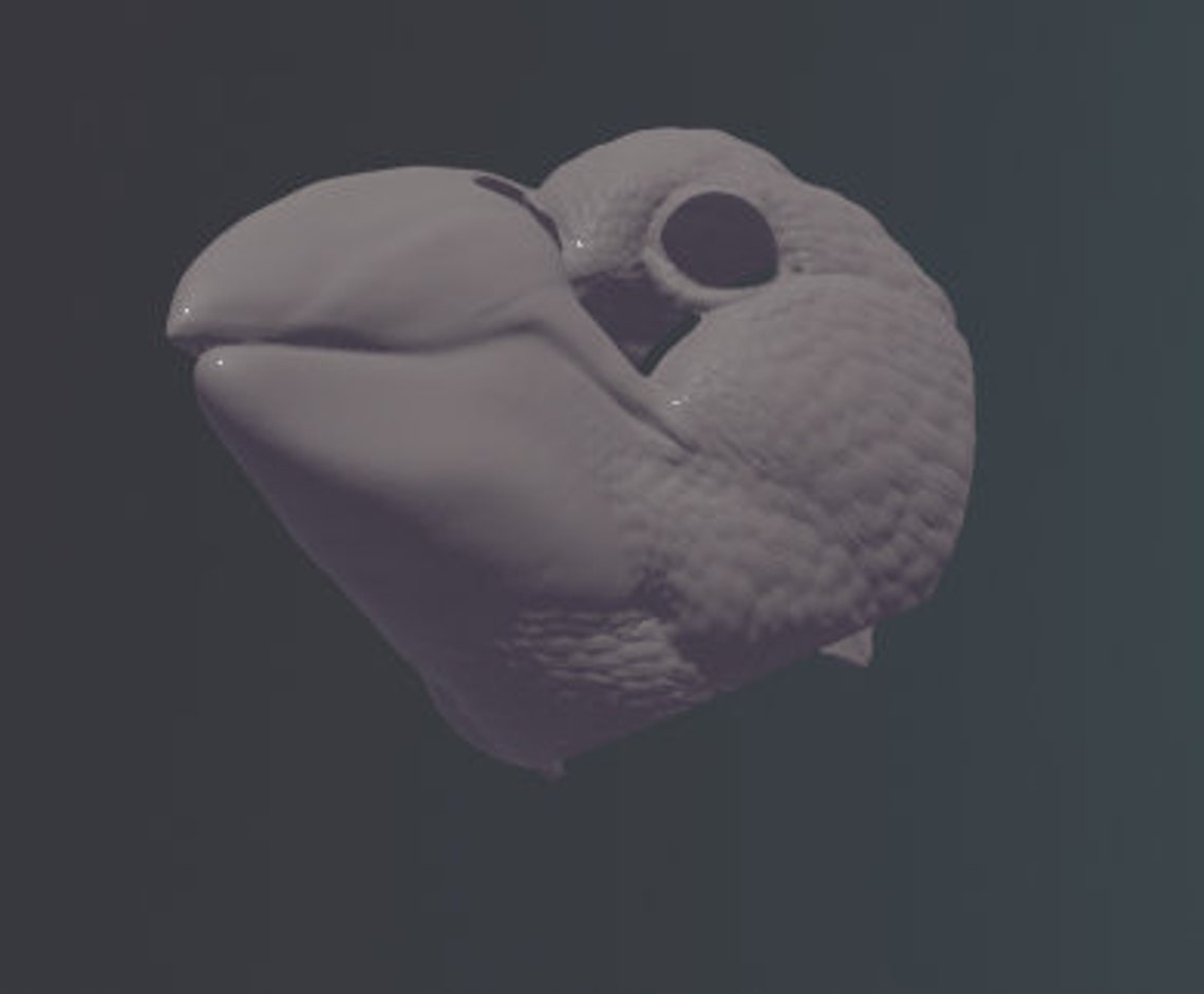 Ground Finch Mask .STL Files for 3D Printing - Etsy