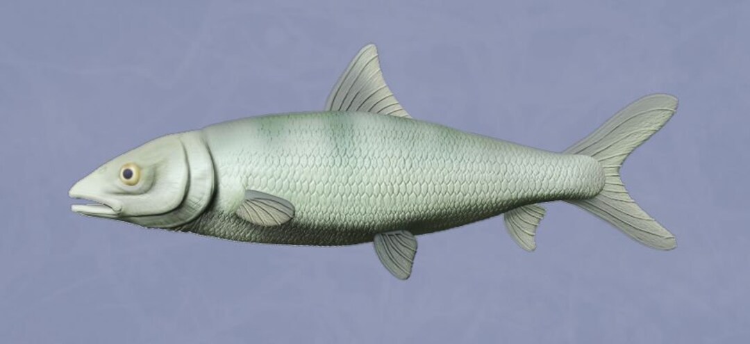 Bonefish Sculpture .STL Files for 3D Printing - Etsy