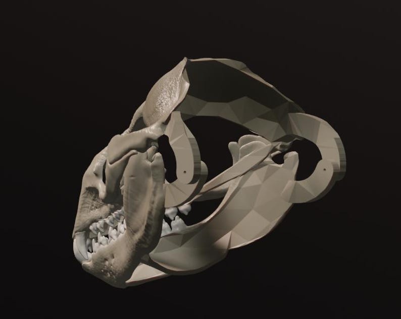 Leopard Seal Skull Mask .STL Files for 3D Printing - Etsy