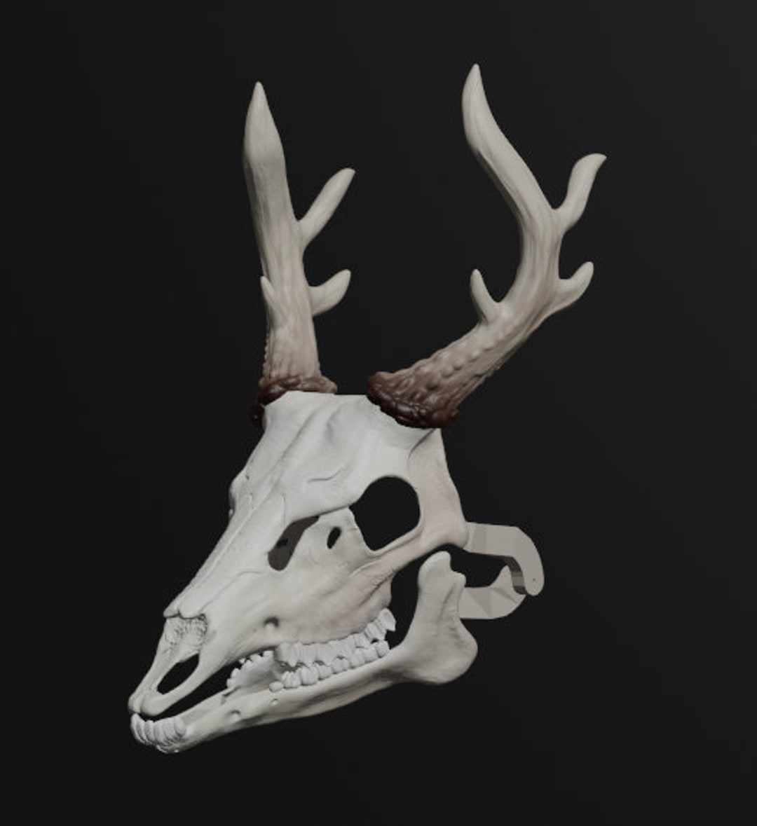Deer Skull V2 Mask .STL Files for 3D Printing - Etsy