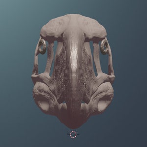 Terror Bird Skull Mask .stl Files for 3D Printing - Etsy